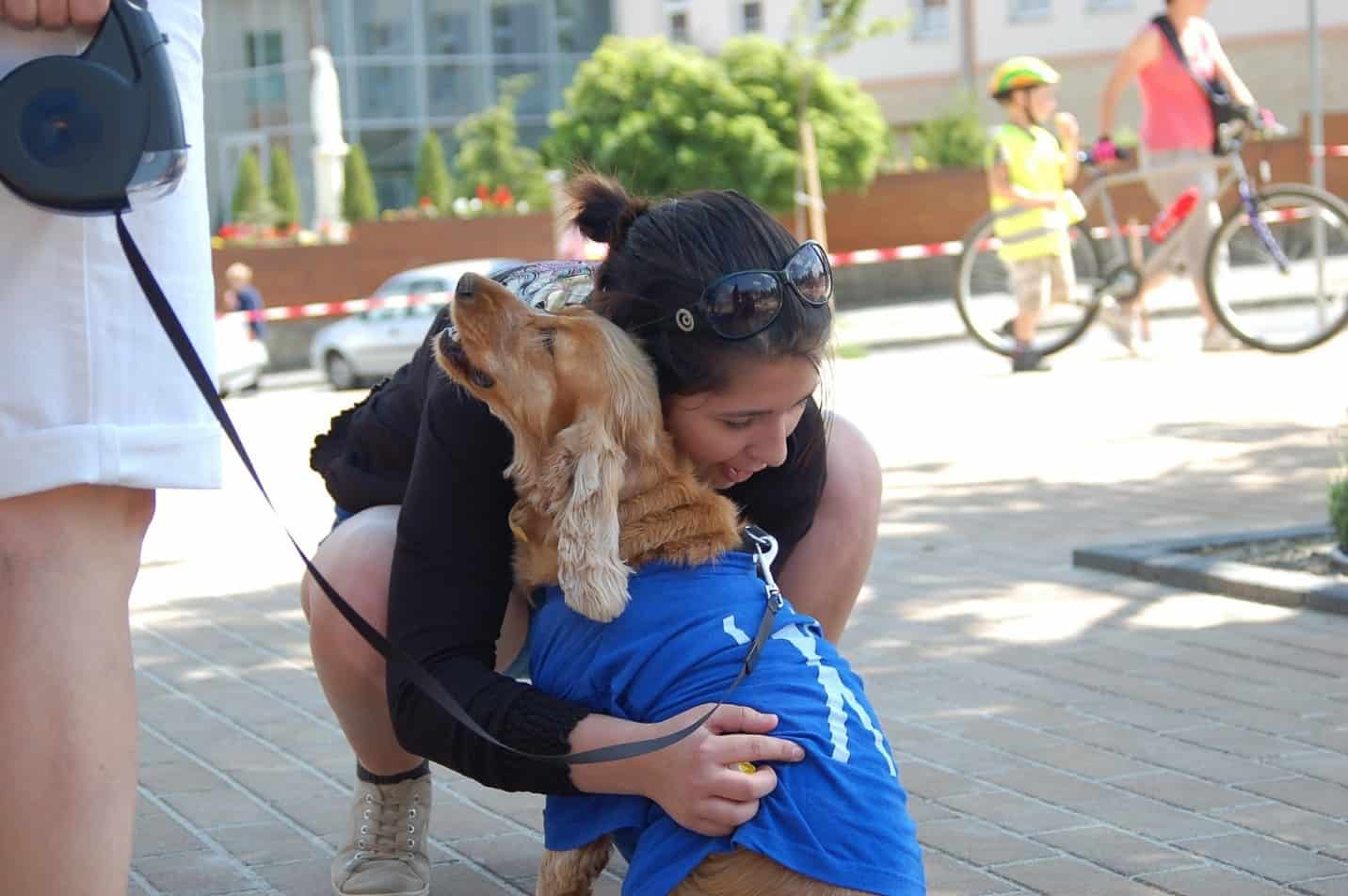 Diabetes Alert Dogs Comprehensive Guide