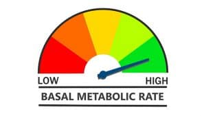 What are Basal Rates of Insulin? - TheDiabetesCouncil.com